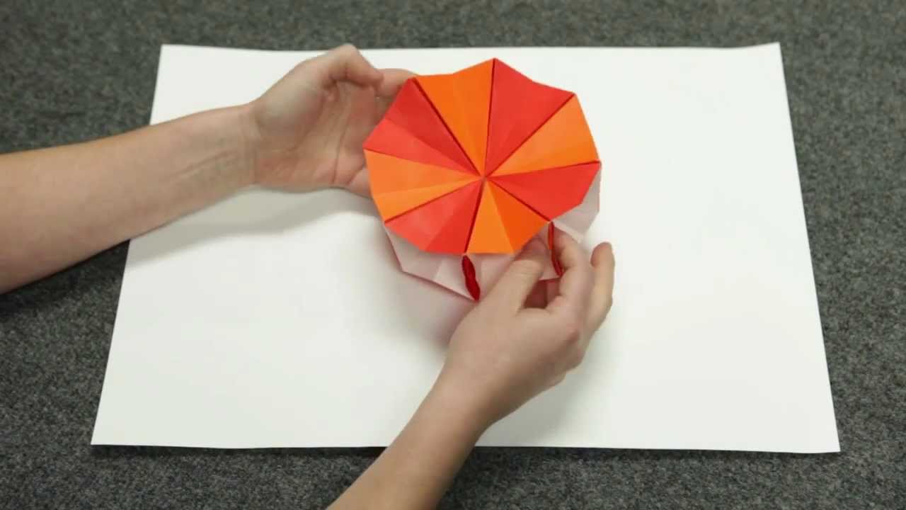 Paper Protein Activity Part 1: Amino Acid - YouTube