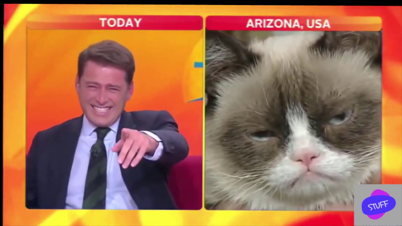 Funny News Clips Vol 1 - YouTube