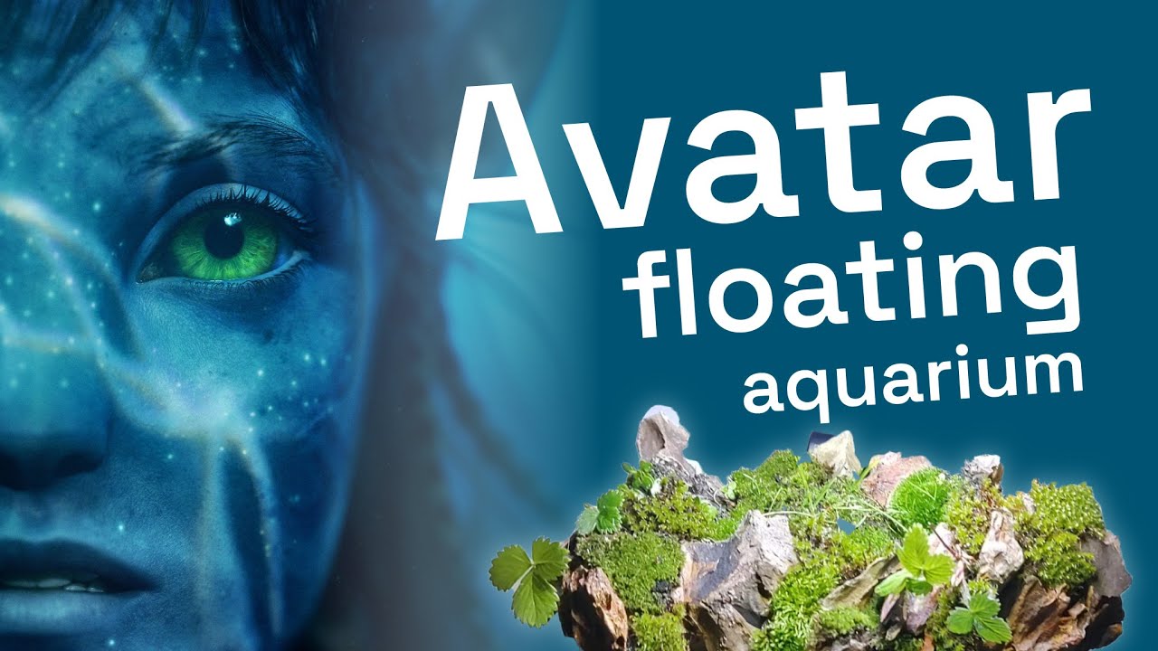 Nanotank FLOATING AVATAR | tutorial planted aquarium aquascape - YouTube