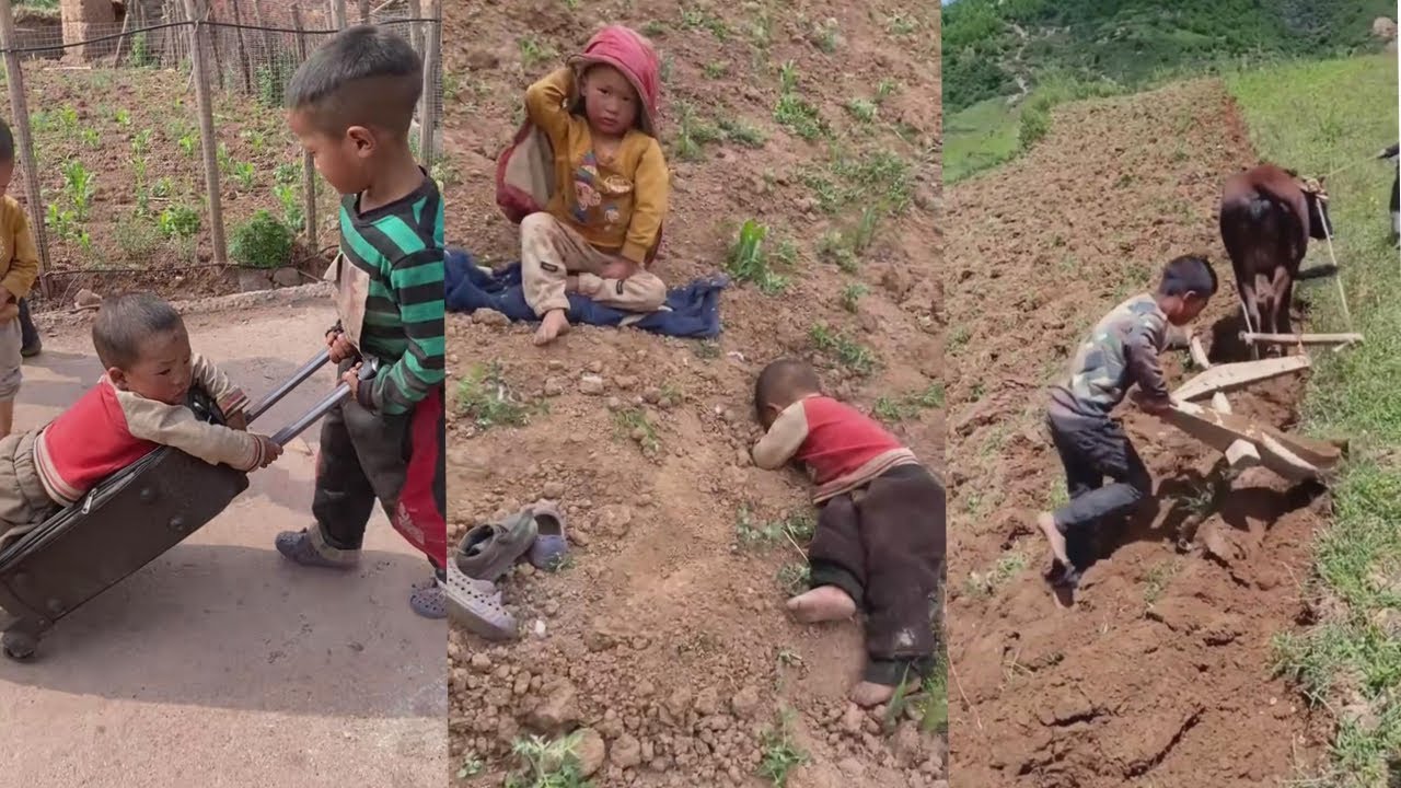 Rural life kids do farm work|Chinese Rural Kids childhood|Loving mother ...