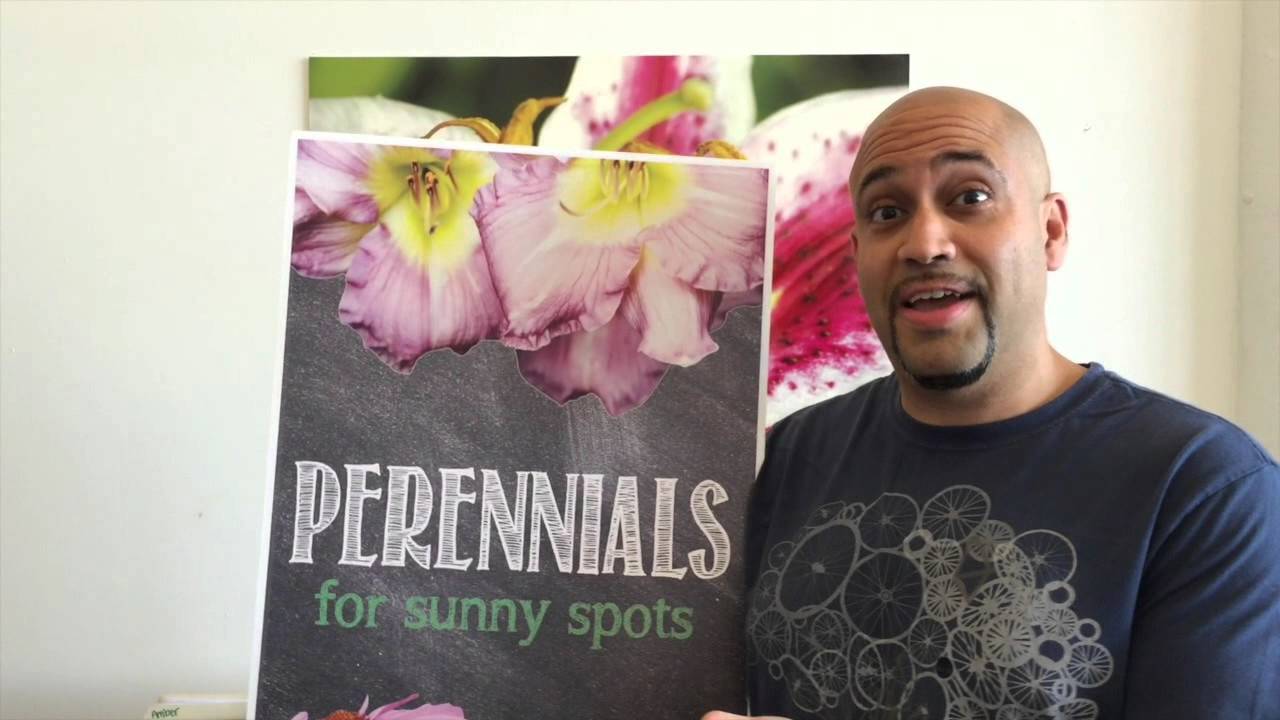 Using Beacons for Staff Pick Signs - YouTube