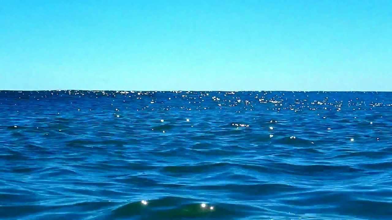 Fish in Waves - YouTube