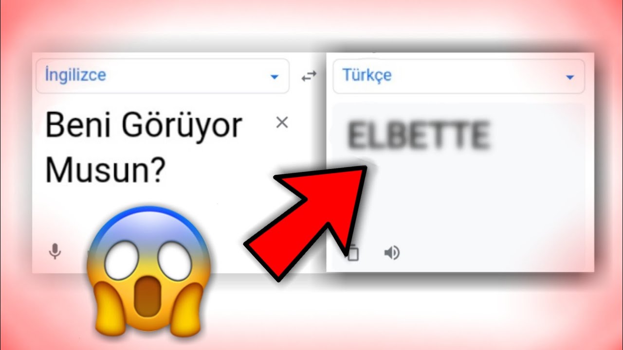 SAKIN ÇEVİRİ'YE YAZMAYIN! Google Çeviri'ye Yazmamanız Gereken 7 Şey! 😱 ...