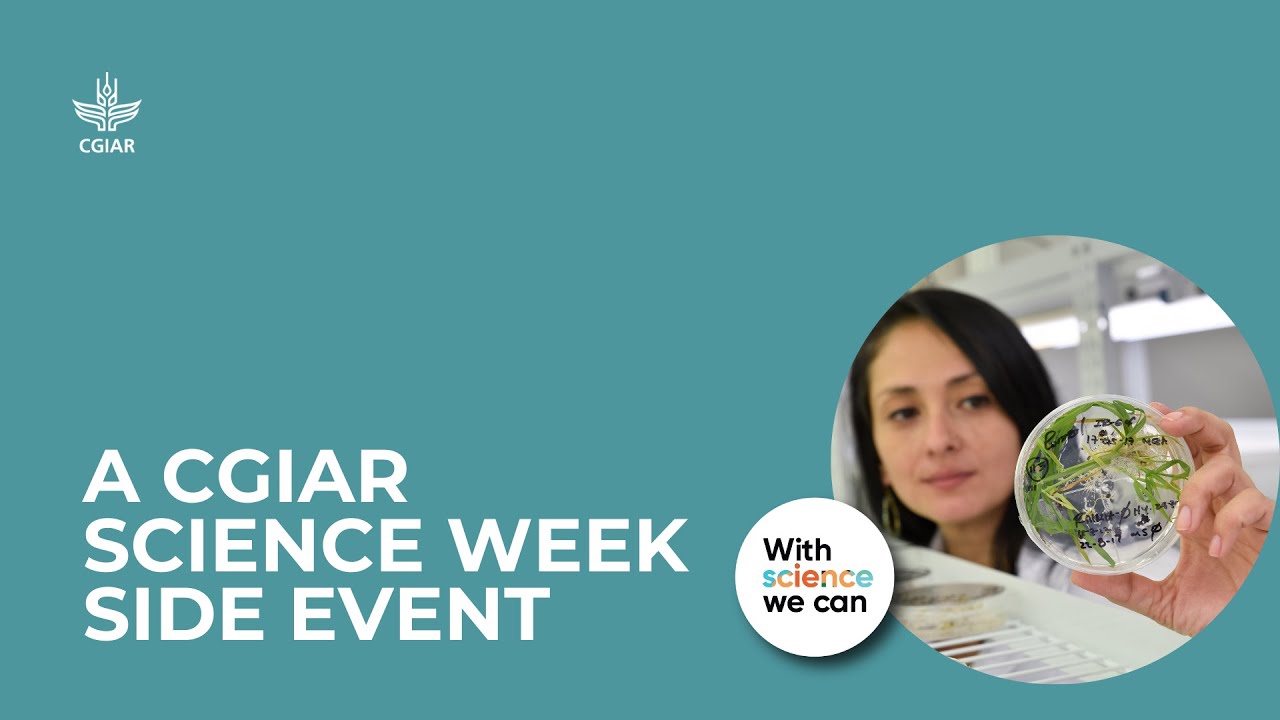 The Power of True Price Transparency as a Roadmap for Healthy ...