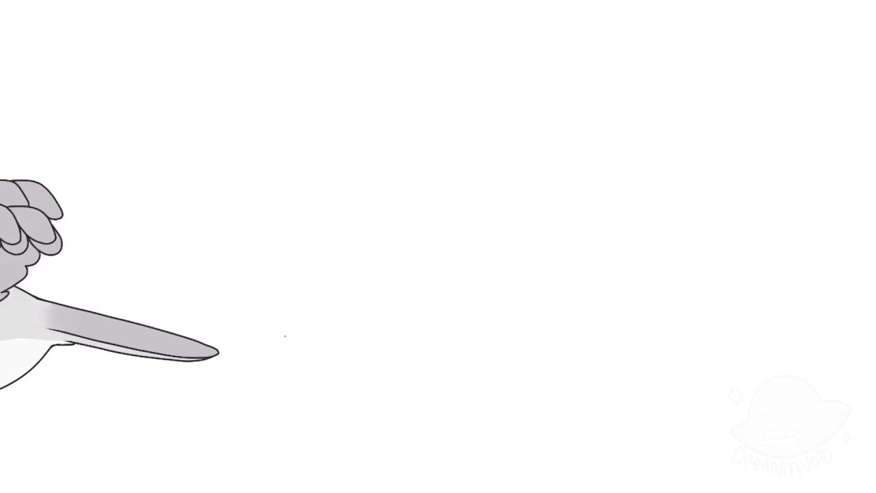 L’oiseau Moqueur (The Mockingbird) Animation - YouTube