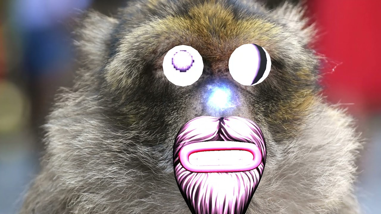 🐒 Som de macaco gritando estourado - berrando 🐒 Monkey 🐒 Mono 🐒 猿の効果音 🐒 ...