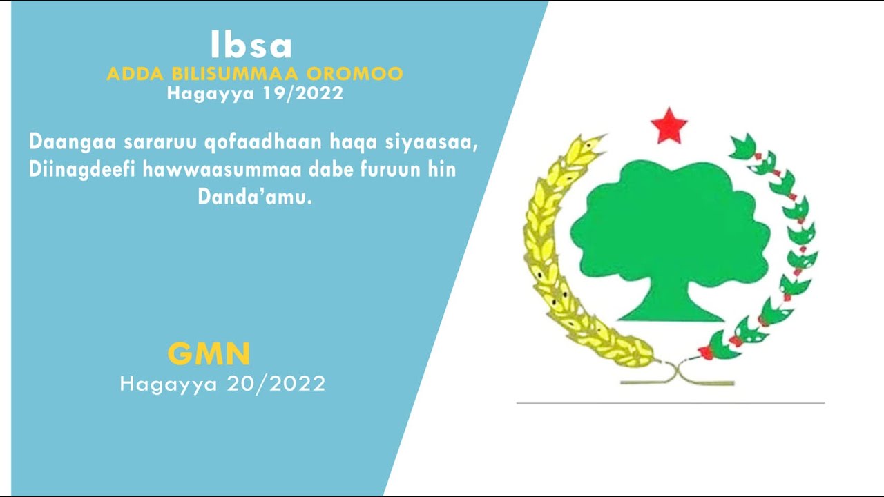 GMN: Ibsa Adda Bilisummaa Oromoo Hagayya 19/2022 - YouTube