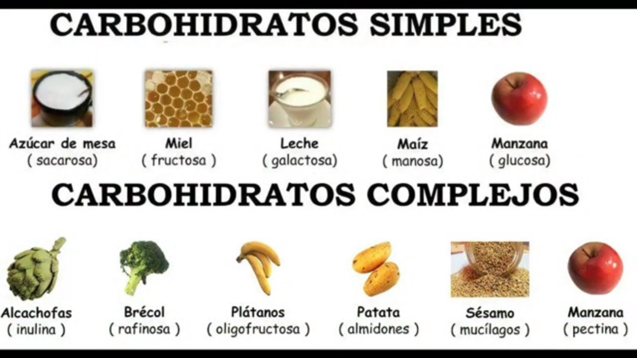 LOS CARBOHIDRATOS SON BUENOS O MALOS // GRW DE APLGO // Como Subir Las ...