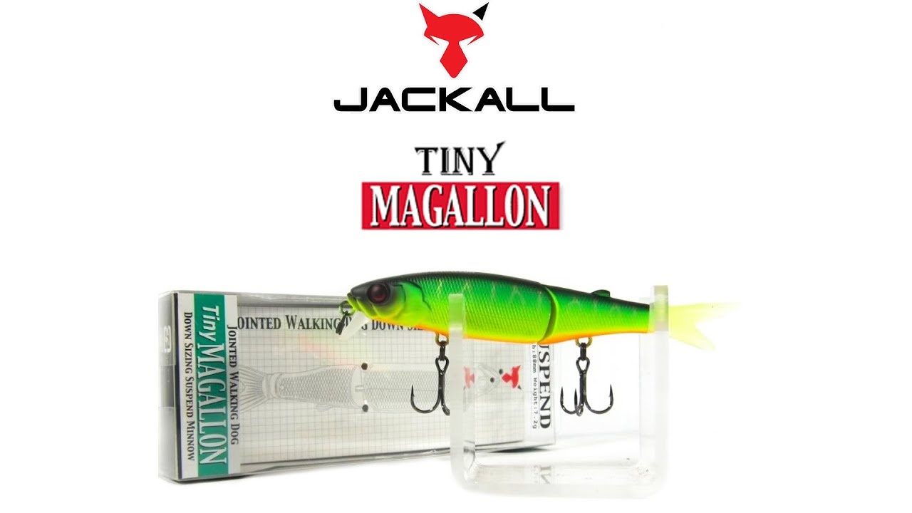 Воблер Jackall Tiny Magallon. Underwater Lure Action - YouTube