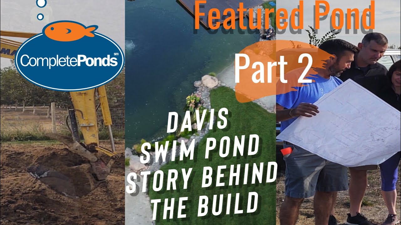 Davis Swim Pond Story Behind The Build | Natural Swim Pond with pond ...