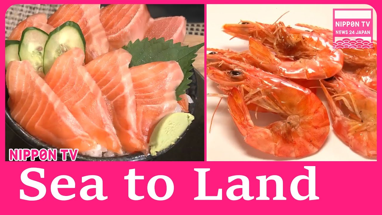 Shrimp Farming in hotels? Japan's Land-based Aquaculture is Everywhere ...