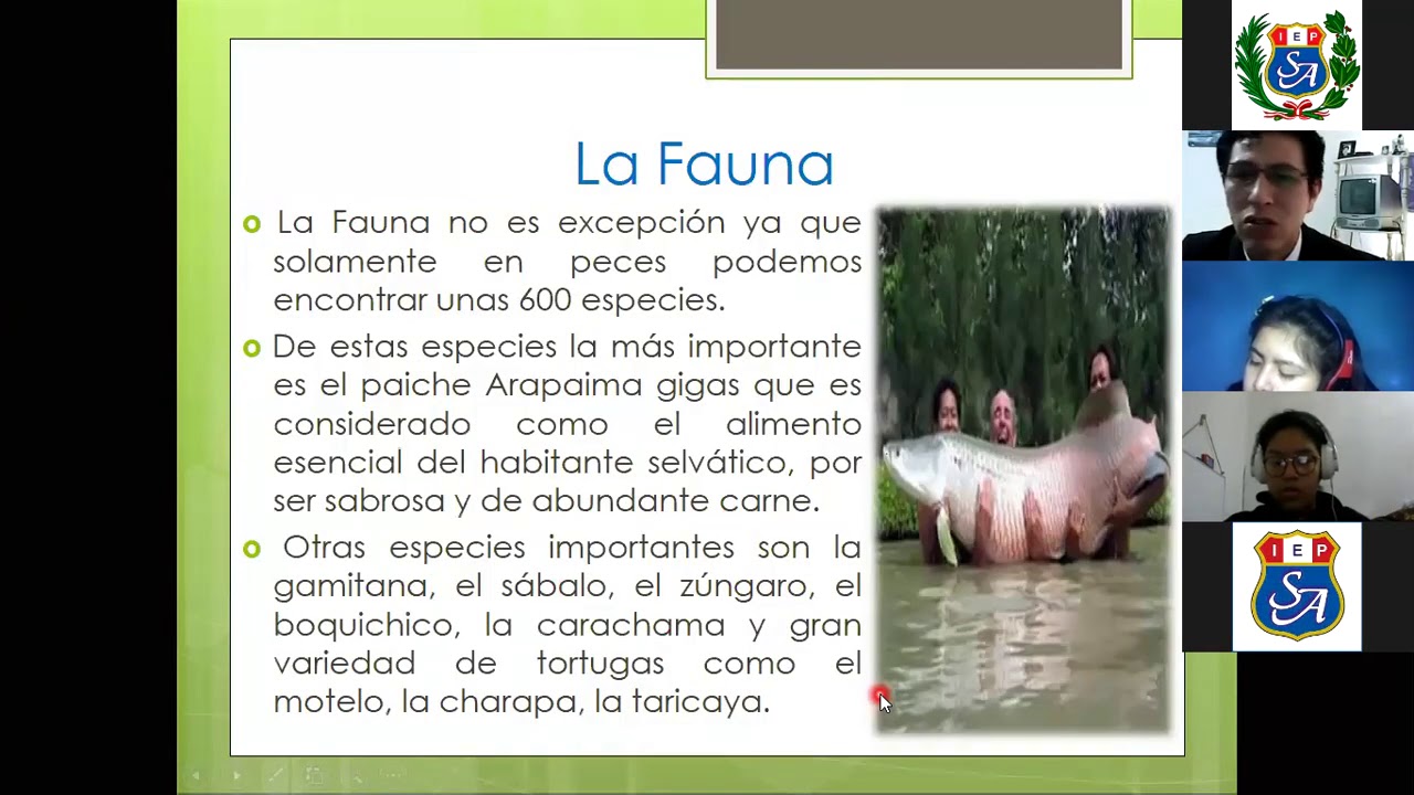 Geografía Tema: Omagua o Selva Baja - Prof. Enrique Peralta - 6° grado ...