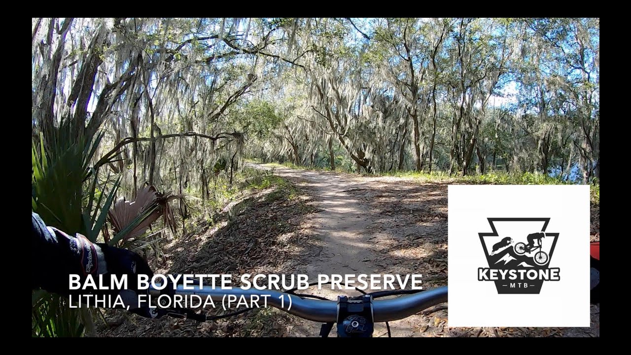 Balm Boyette Scrub Preserve - Lithia, Florida (Part 1) - YouTube