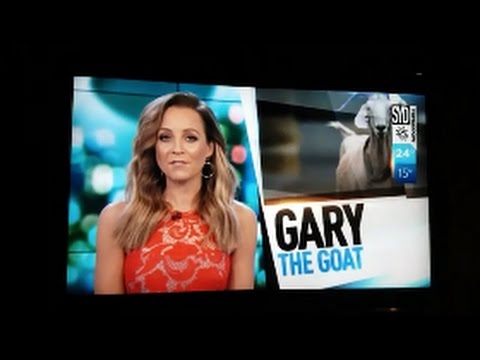 'THE PROJECT' TV show come to our Neath show to do a story on us - YouTube