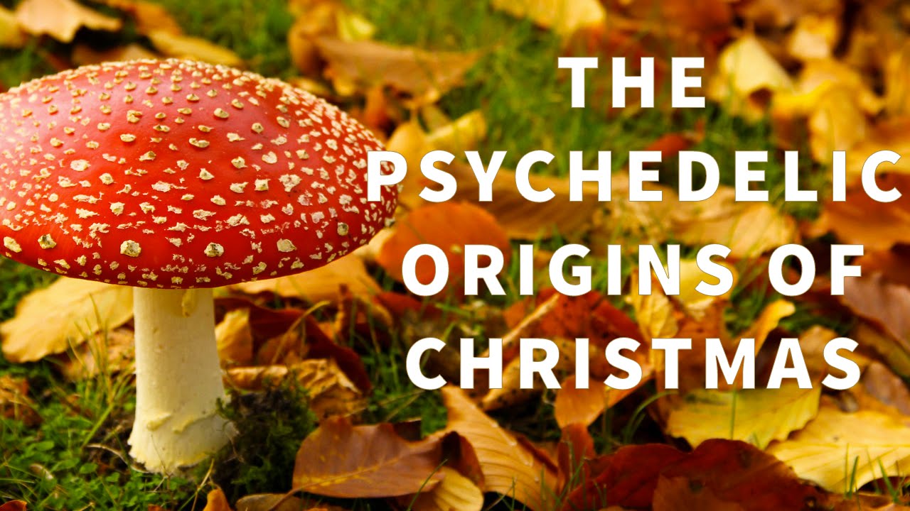 The Psychedelic Origins of Christmas - YouTube