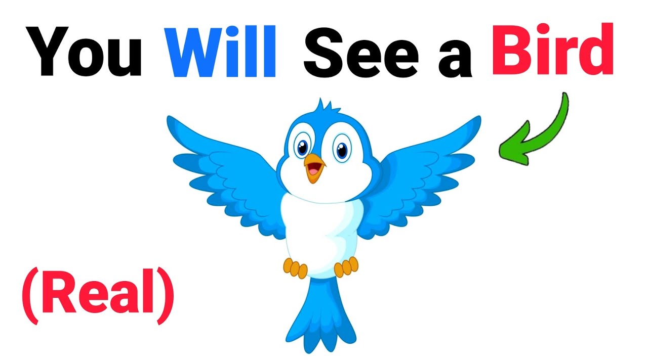 This Video will make you See a Bird in Your Room! 😱 - YouTube