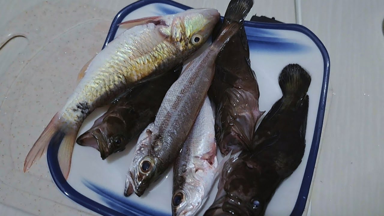 Fishing para pang ulam | Ajing Game - YouTube