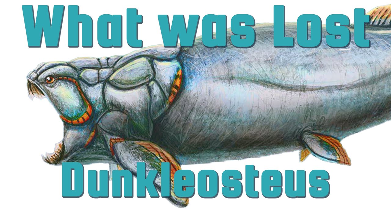 Dunkleosteus - The Gigantic Armored Fish - What Was Lost Ep.10 - YouTube