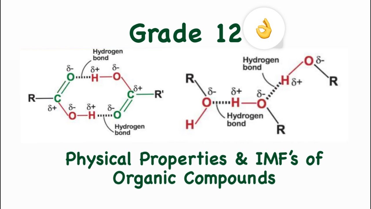 Grade 12 Organic Chemistry| Physical Properties of Organic Compounds ...