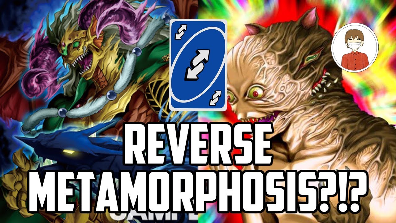 THIS NEW SPELL IS REVERSE METAMORPHOSIS! Yu-Gi-Oh! - YouTube