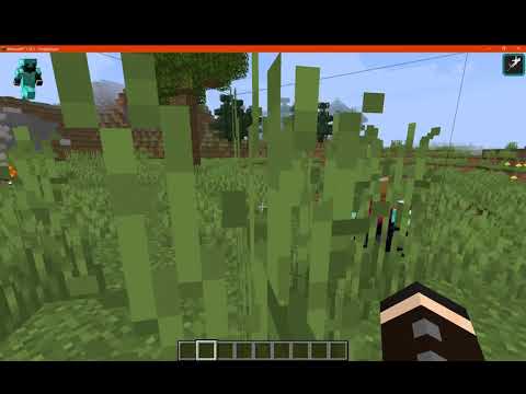 Player Mini Me Paper Doll 1.16.1 Fabric Overview (1.9-1.21.3 Alts ...