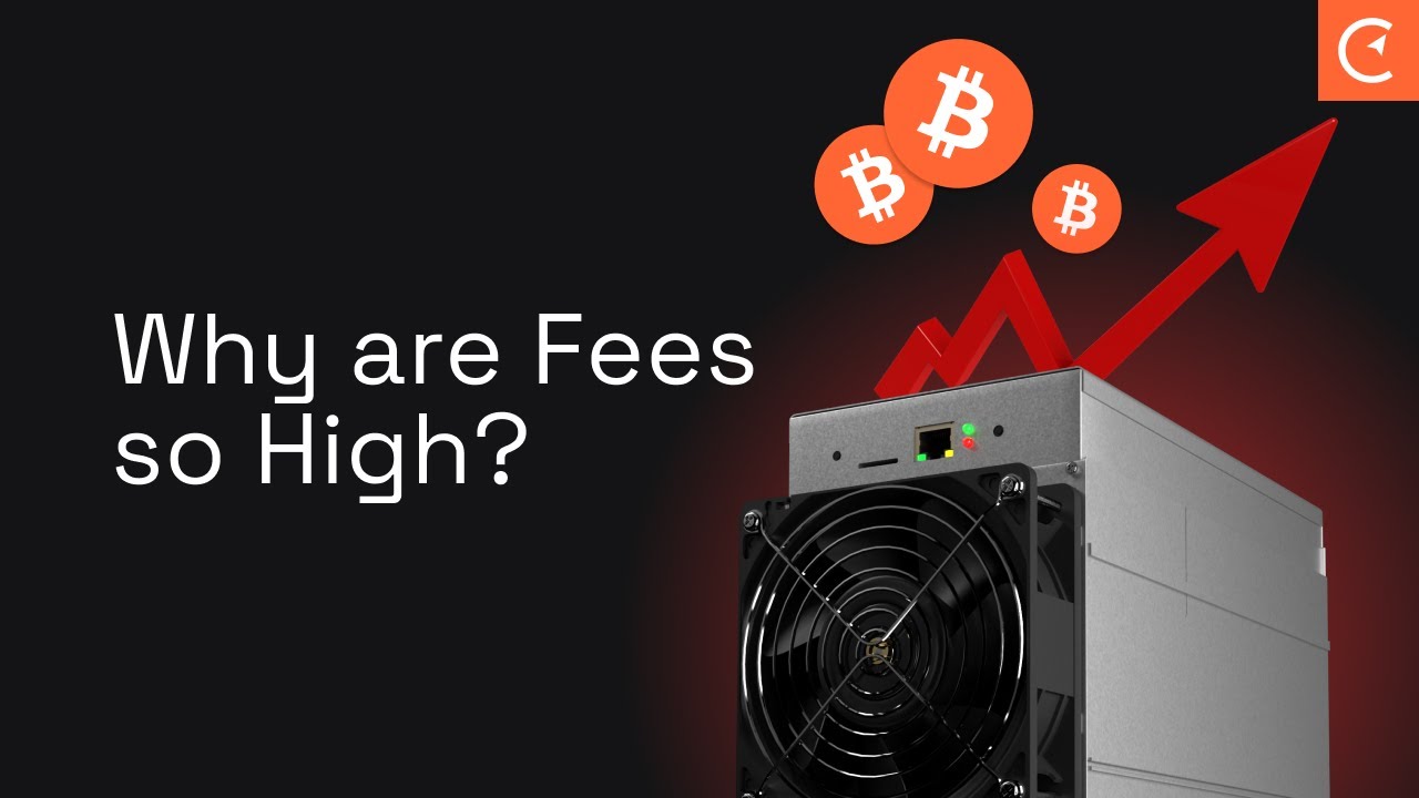Why Bitcoin Transaction Fees Are So High Right Now - YouTube