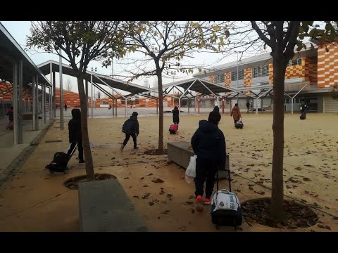 CEIP Catalina de Aragón - Romper filas - YouTube