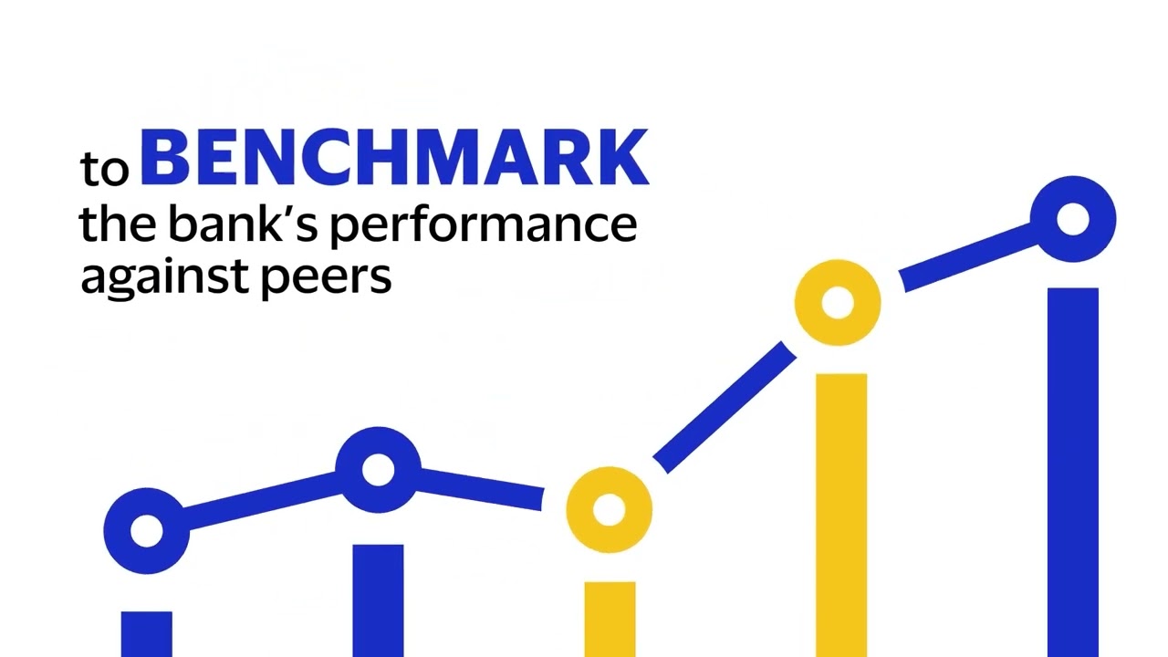 Visa Consulting & Analytics (VCA) authorization and fraud video case ...