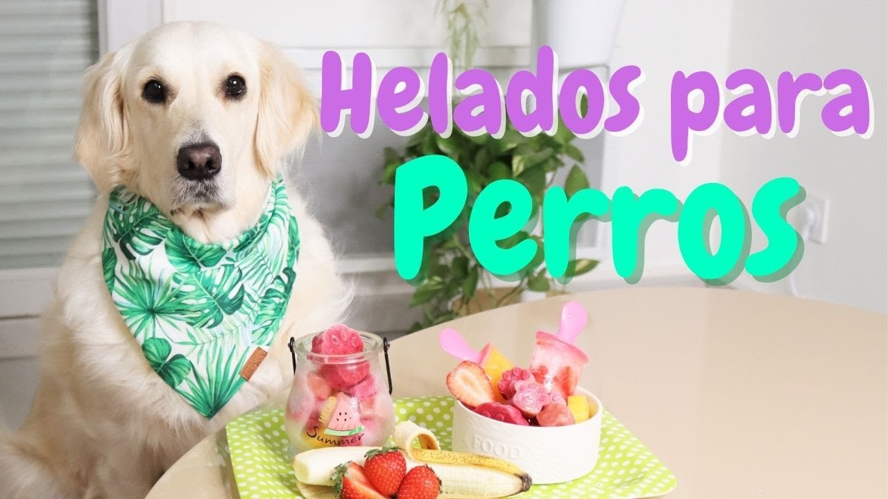 Las Paletas Heladas De Fresa Son Malas Para Los Perros