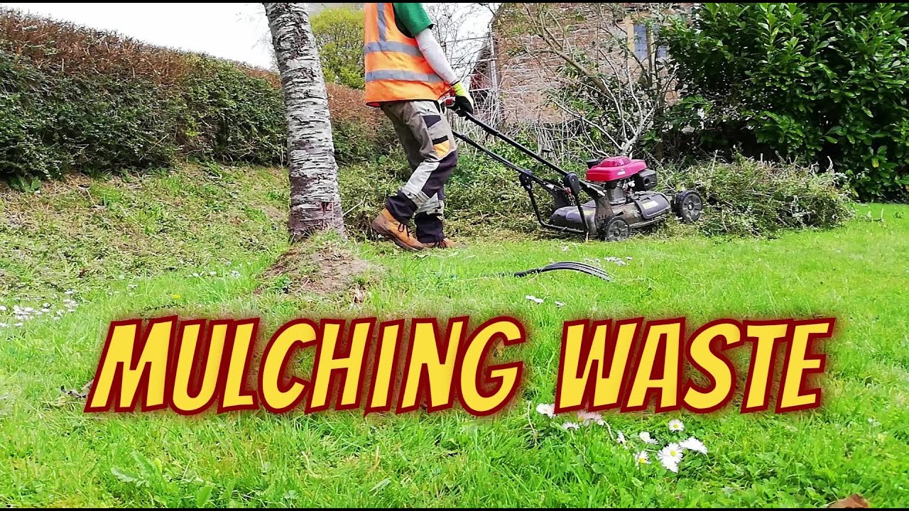 How To Deal with Hedge Trimming Waste Using a Mulching Lawn Mower - YouTube