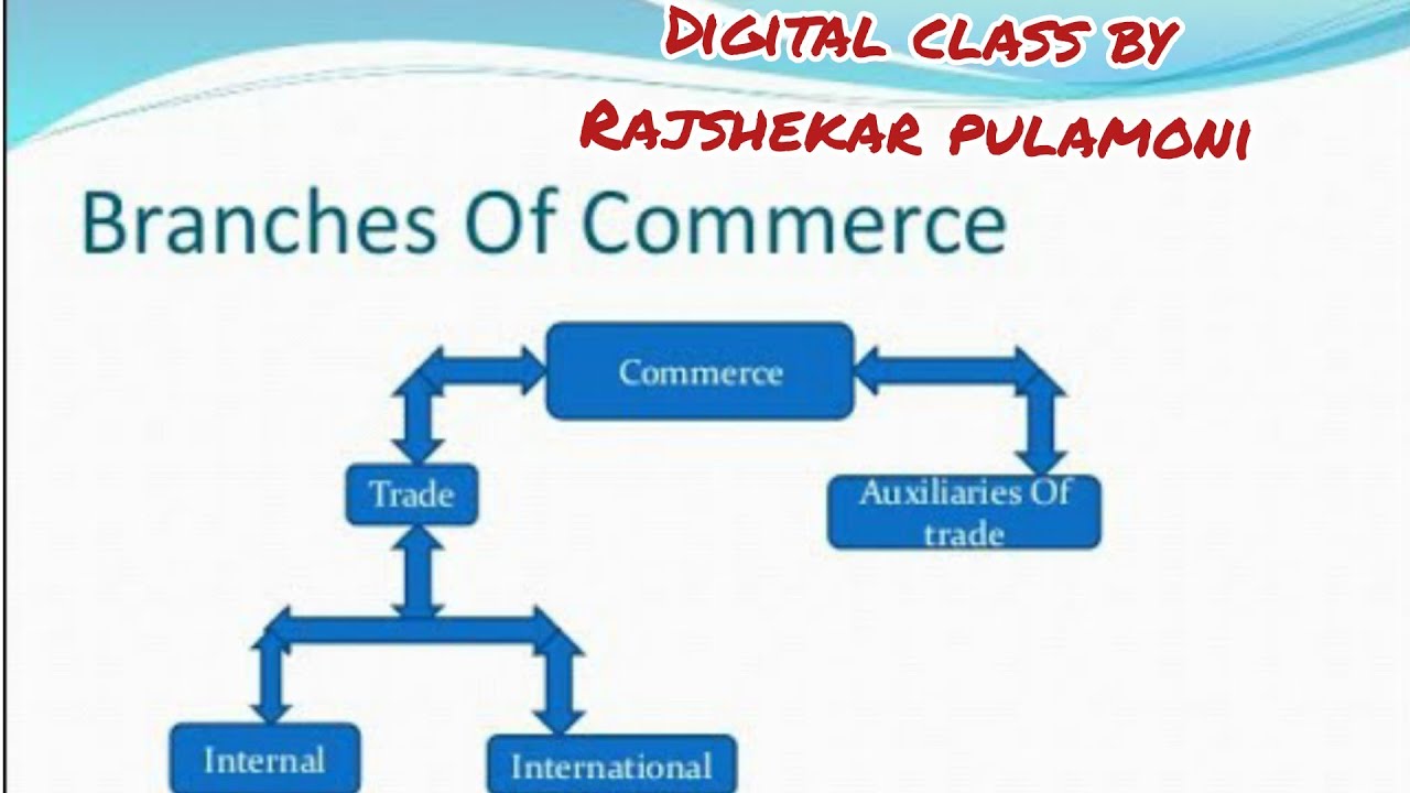 branches of commerce (Trade) in detail - YouTube