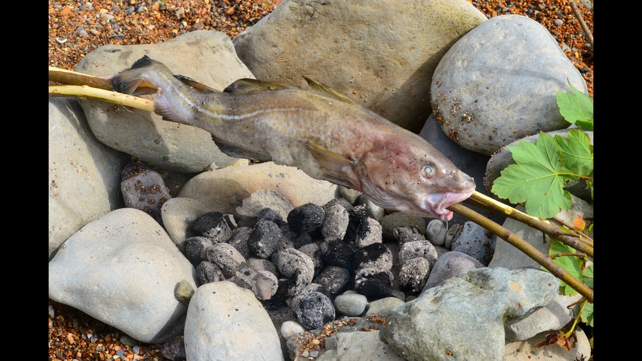 Peste pe sulita -Fish on a spear - YouTube