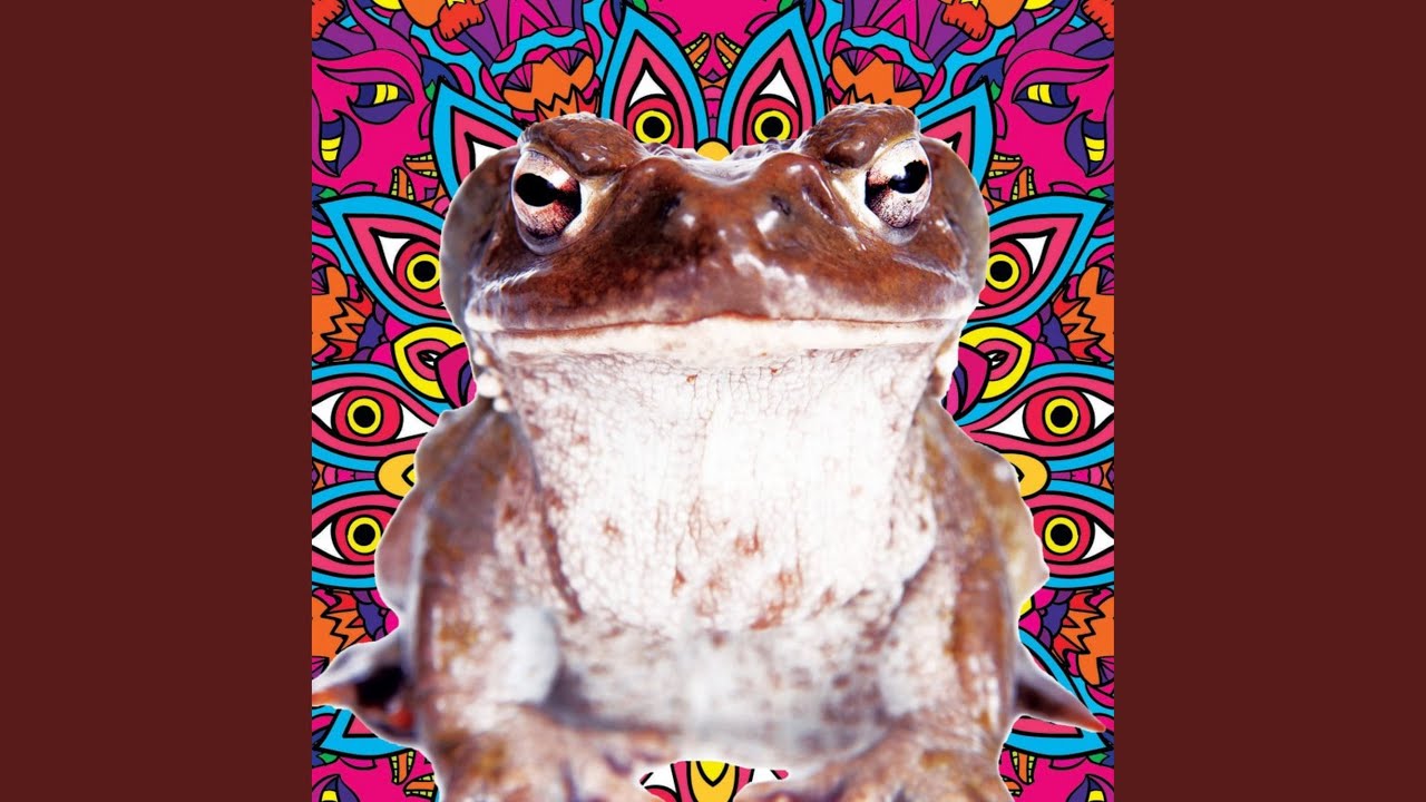 FUMANDO SAPO (Remix) - YouTube