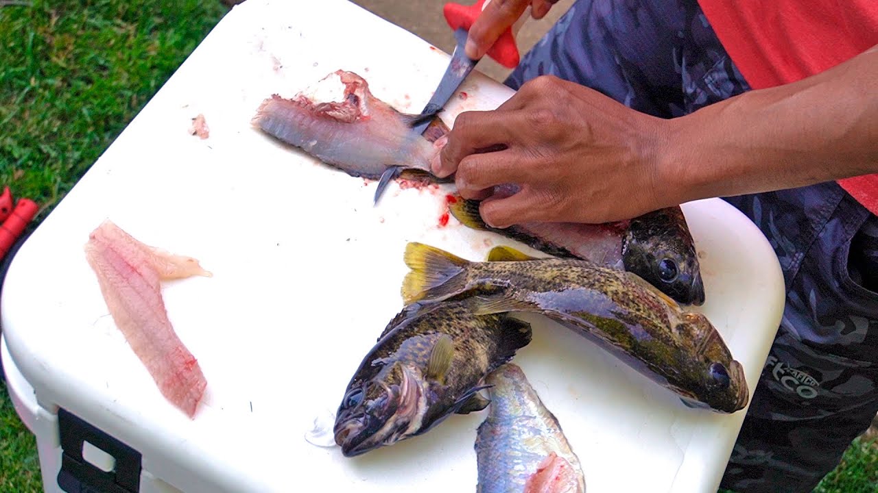 Catch & Cook: PANCAKE Fried Rock Bass (Kayak Fishing) | Field Trips ...