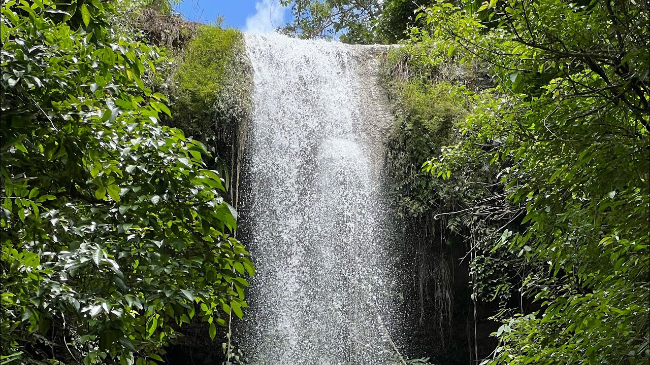 Explore curug maung - Eksplorasi Curug dan Memasak di Tengah Hutan ...