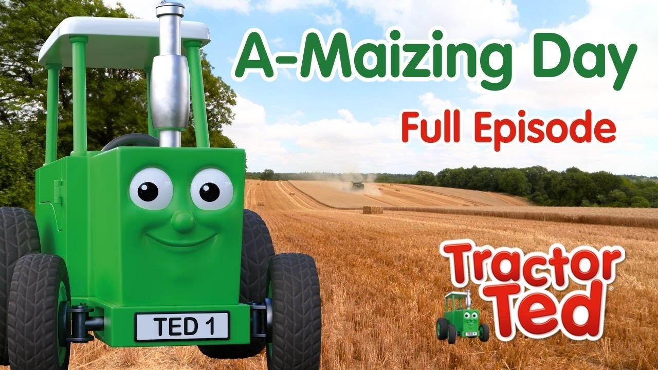 A-Maizing Day 🌾 Tractor Ted Full Episode | Big Machines & Tractors For ...