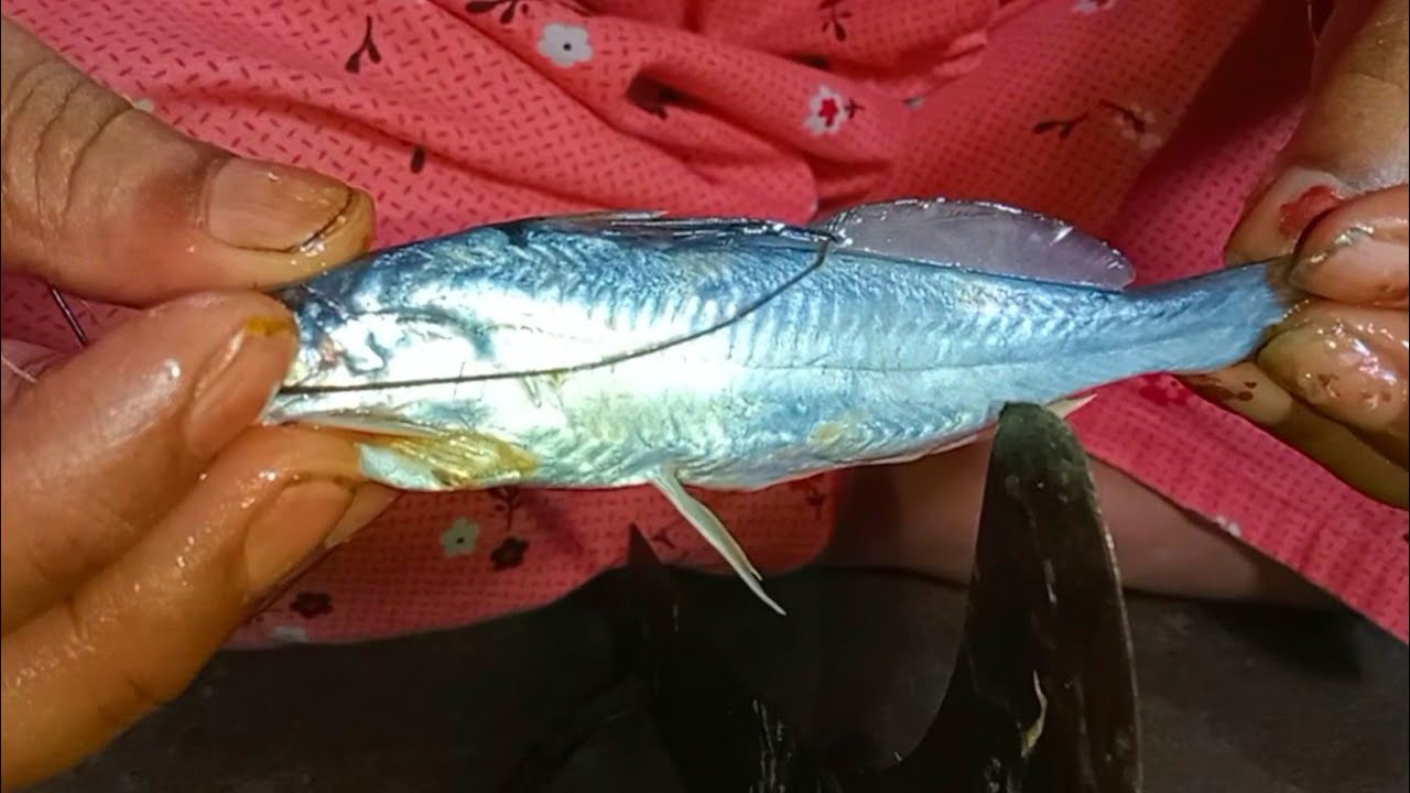 Gulsha Tengra Fish Cutting||Tengra Fish Cutting Skills||গুলশা টেংরা মাছ ...
