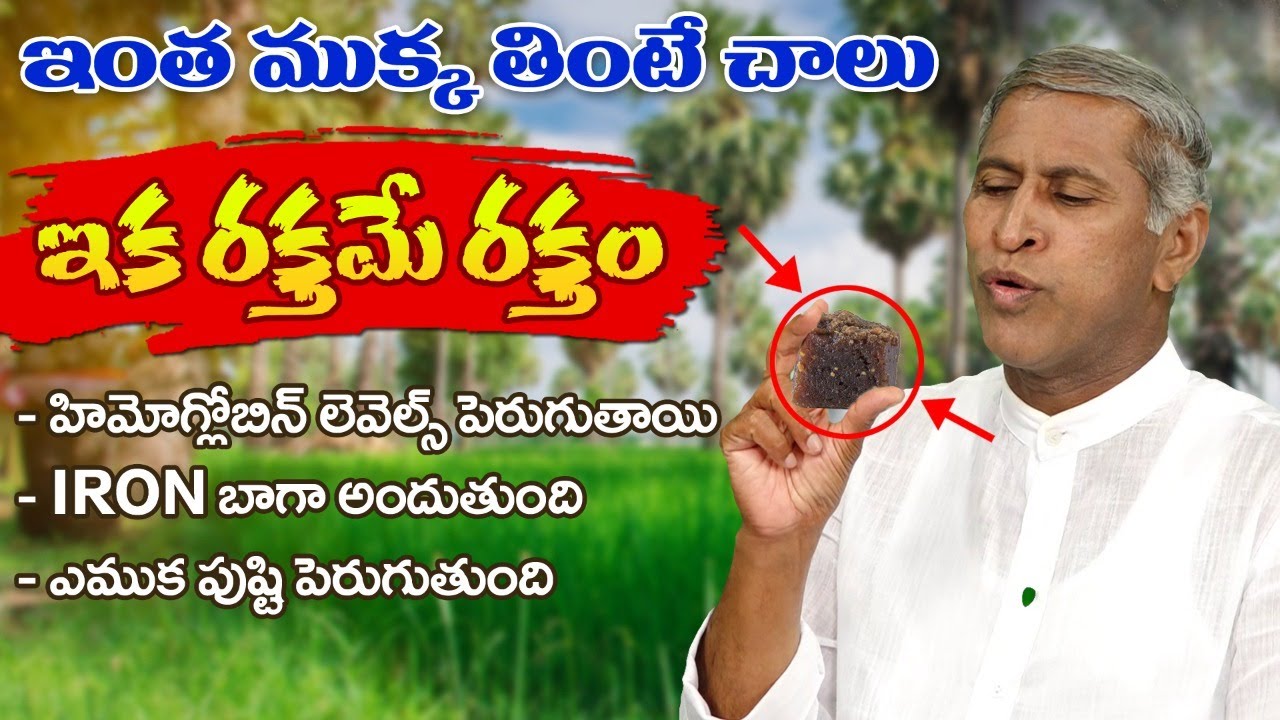 Iron Rich Food | Increases Blood Levels in Body | Hemoglobin | Thati ...