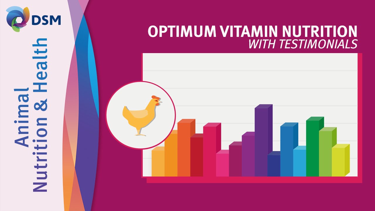 DSM's Vision on Optimum Vitamin Nutrition with Testimonials by DSM ...