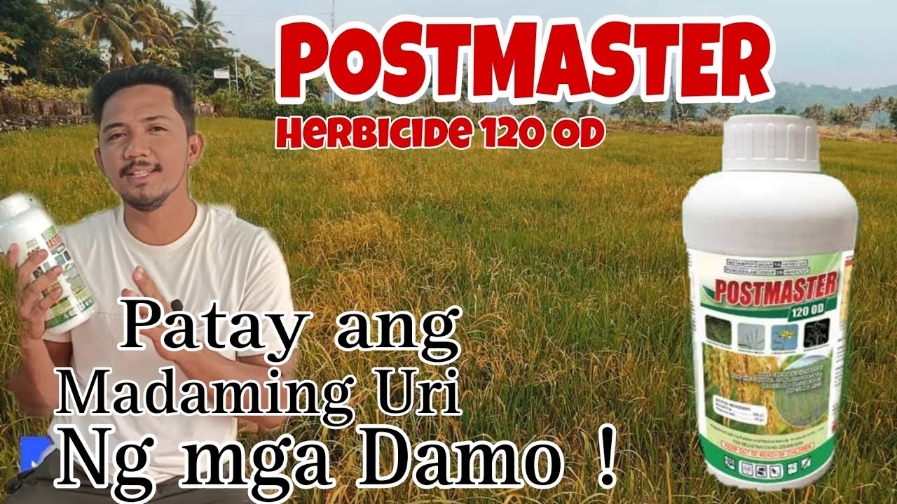 Bagong Pamatay Damo na Postmaster 120 OD - Kayang Patayin ang Siyam na ...
