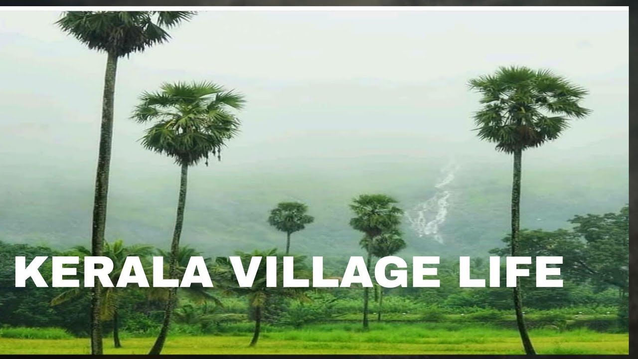 ENGLISH VLOG 5 . EXPLORING KERALA . INDIAN FAMILY VLOG . VANESSA ...