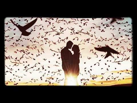 Красивая Грузинская Песня - lORO Remix