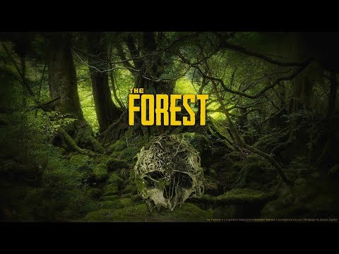 Nachts im Wald - The Forest