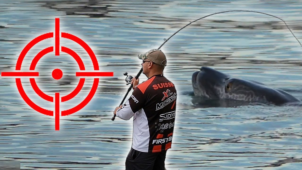 Where to Cast when Muskie Head out of Water - YouTube