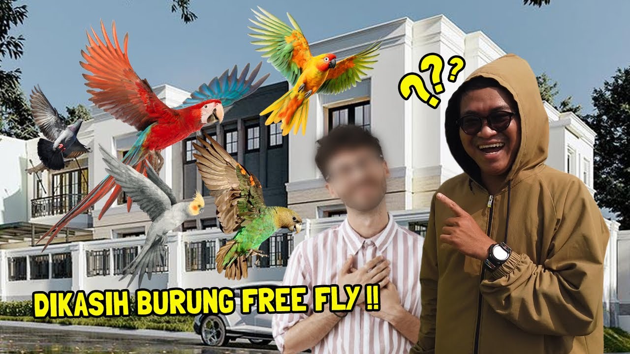DIKASIH BURUNG FREE FLY ISTIMEWA GRATIS SAMA ORANG INI ⁉️HOKI BANGEEETT ...