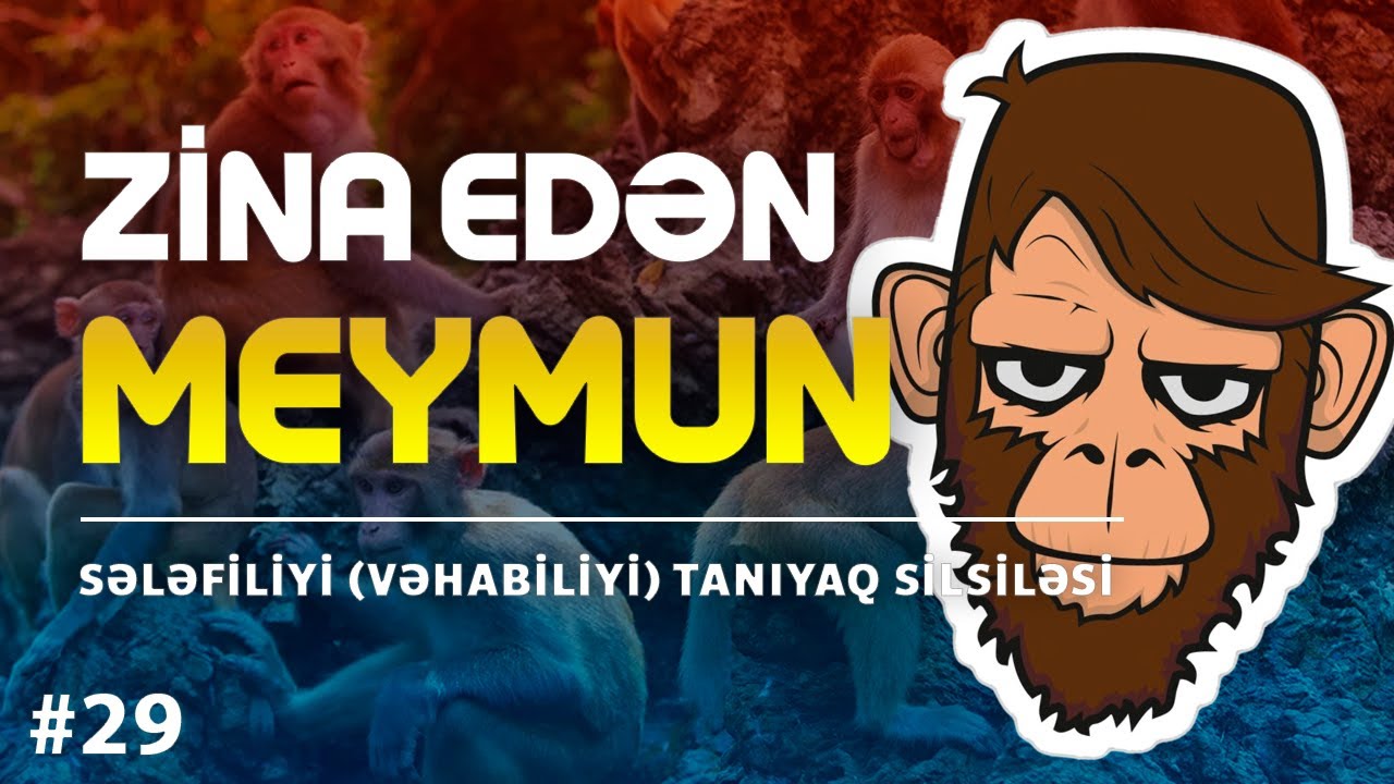 Zina edən meymun / sələfiliyi (vəhabiliyi) tanıyaq #29 - YouTube