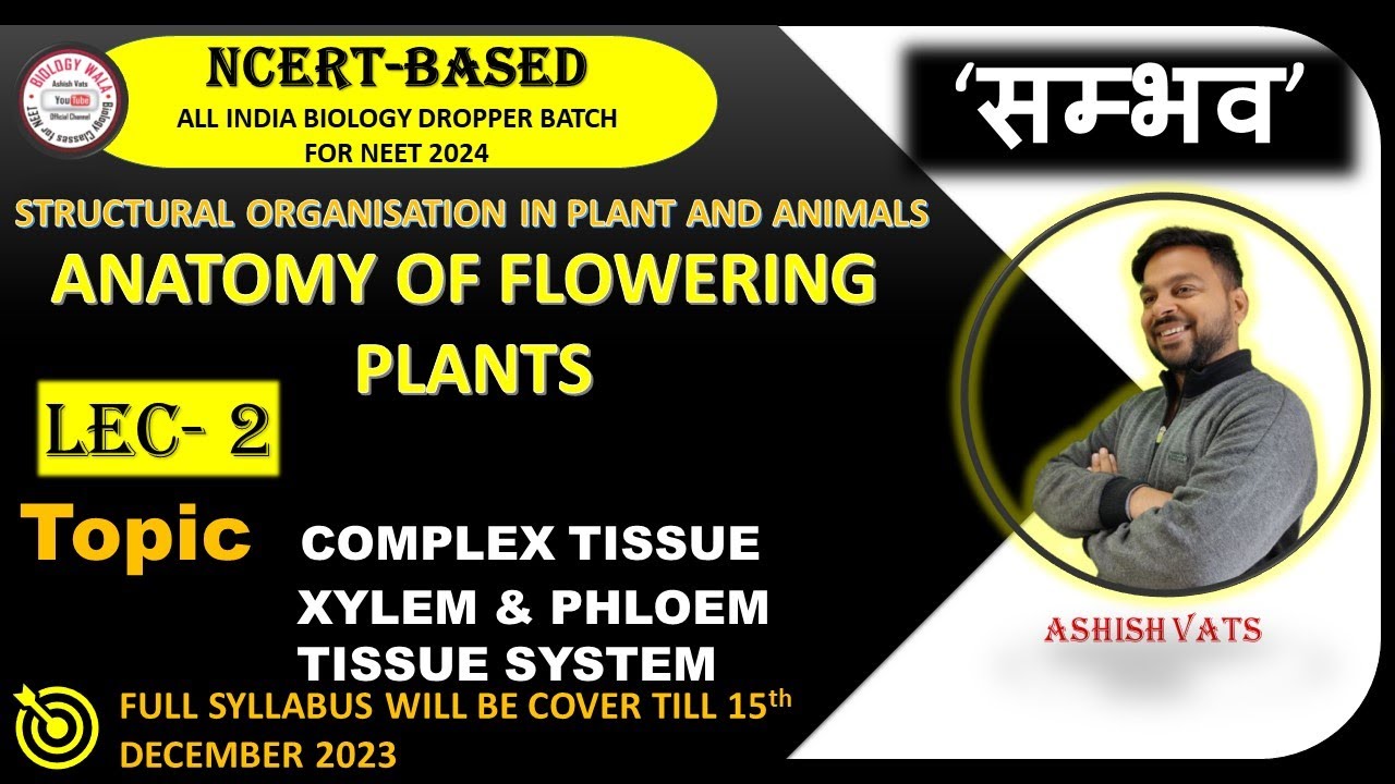 LEC- 2 COMPLEX TISSUE XYLEM AND PHLOEM |ANATOMY| NEET DROPPER BIOLOGY | NCERT BIOLOGY FOR NEET ...