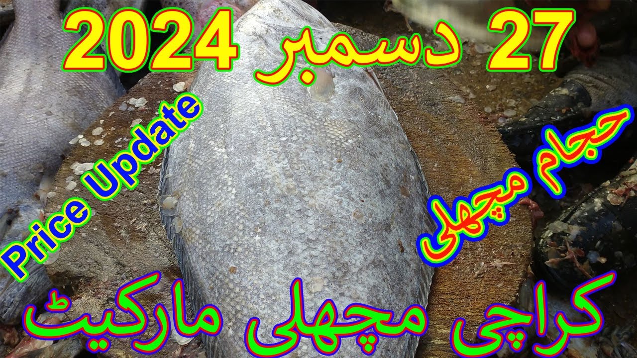 Karachi Fish Price Update || 27 December 2024 || Karachi Fish Latest ...