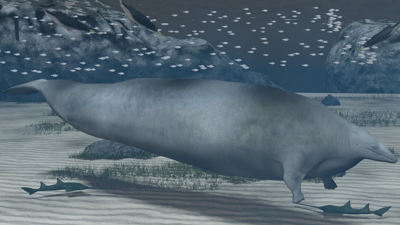 Perucetus colossus Video Abstract - YouTube