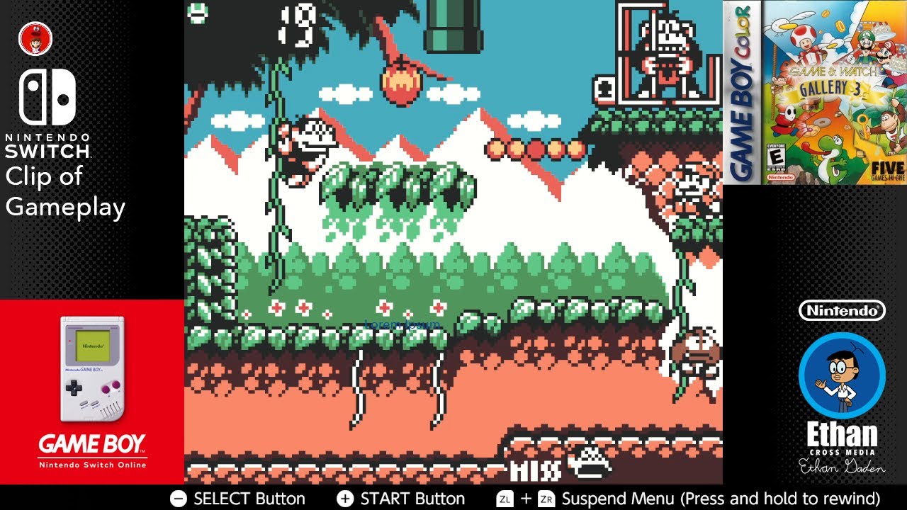 Nintendo Switch Online (Game Boy/Game Boy Color) - Game & Watch Gallery ...